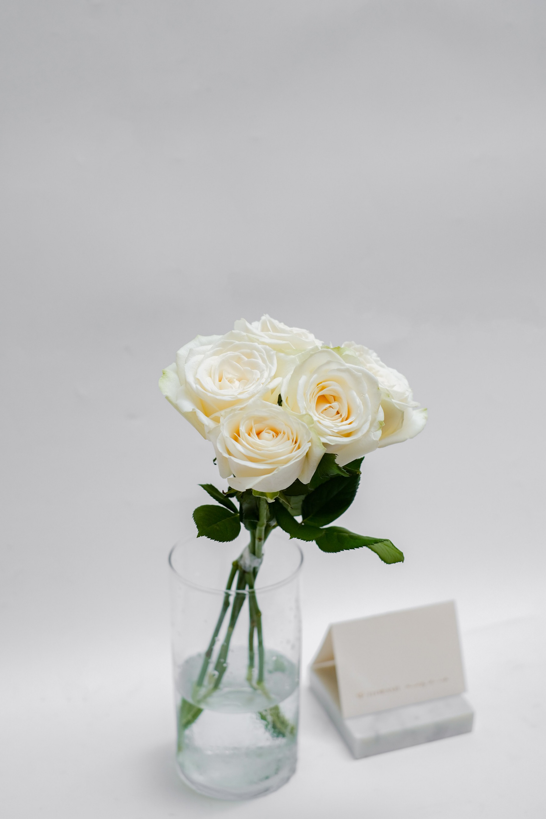Rose Bunch White - Florash - Florist Bandung - Same Day Delivery