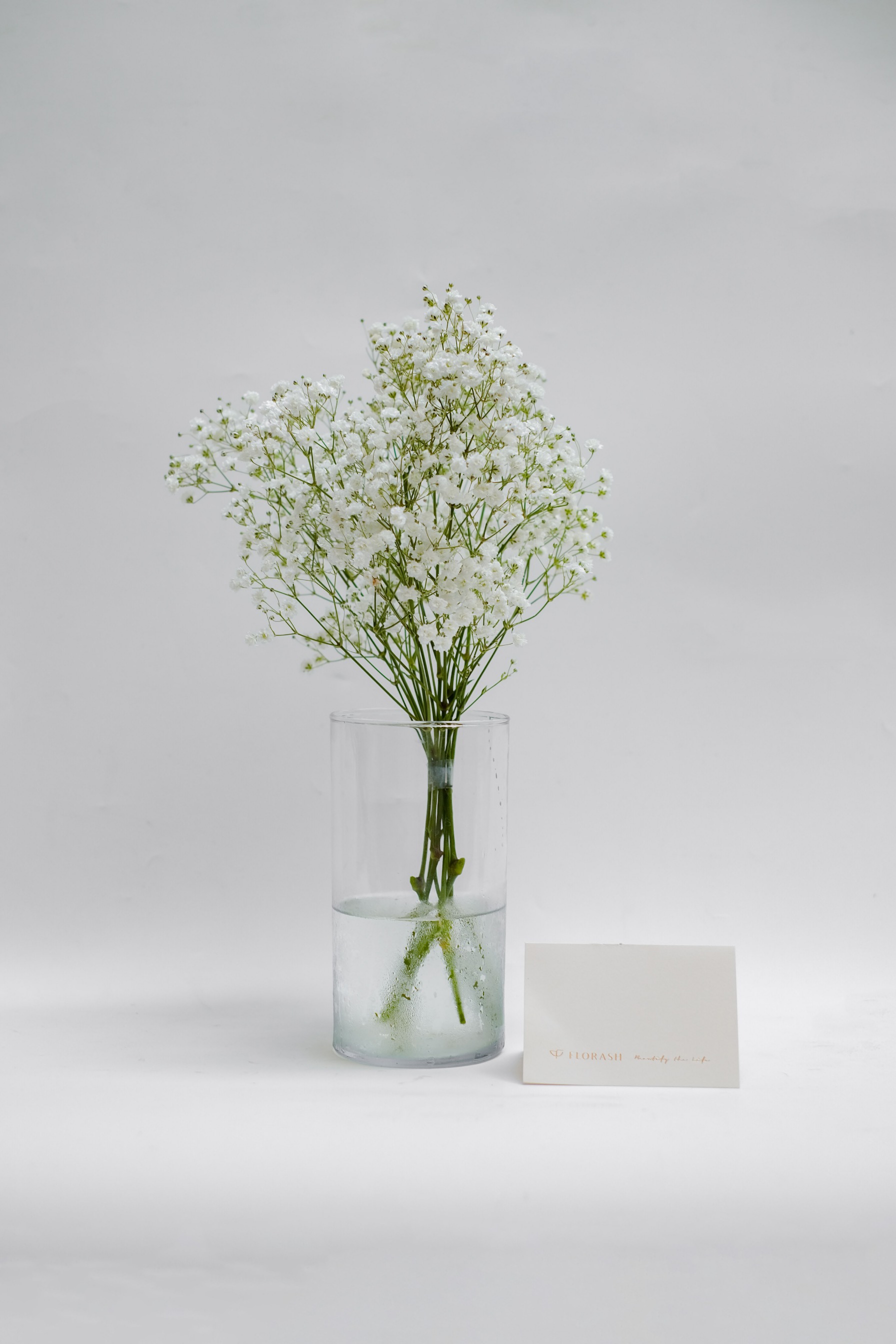 Baby Breath Bunch - Florash - Florist Bandung - Same Day Delivery