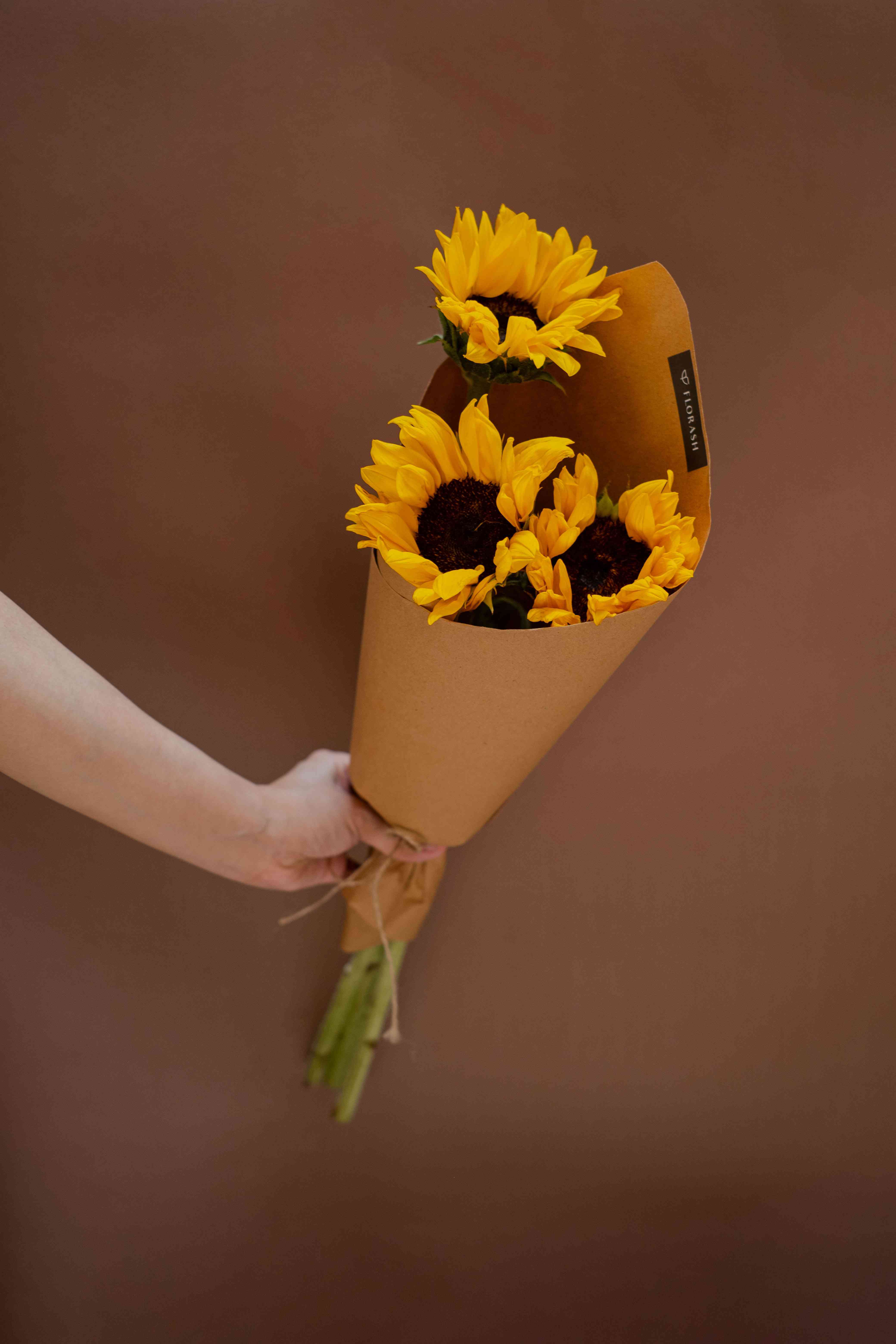 Florash - Florist Bandung - Same Day Delivery - Helianthus Bunch